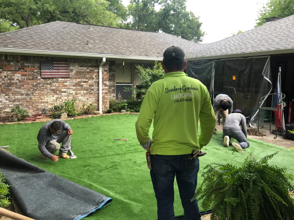 Our Story - Sundrop Gardens